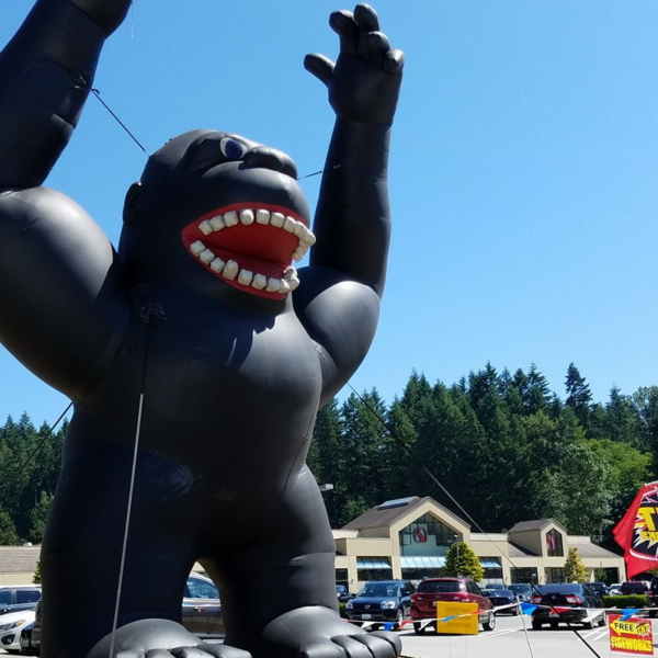 Fireworks Stand Near Redmond, Bothell, Woodinville | Fireworks for Sale